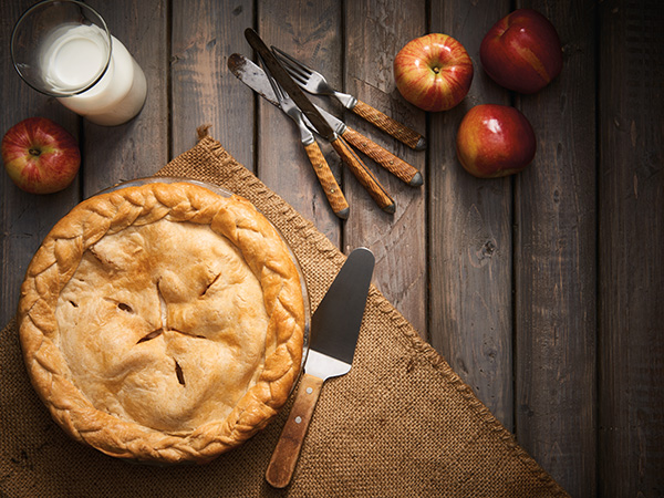 Steam Ovens - Spillers of Chard Limited